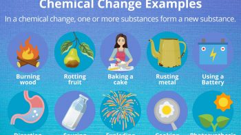 Alphanumeric characters: Functions, Examples and Everything You Need to ...
