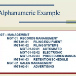 What Is Resource Partitioning? Definition and Examples